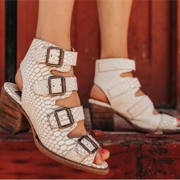 Freebird by Steven | Shoes | Nwt Freebird By Steven Quail White Snake Leather Buckle Booties ...